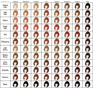 12 Ingeniously Useful Charts That Will Help You Have The Best Hair Of ...
