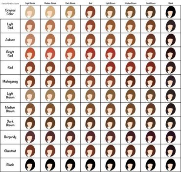 12 Ingeniously Useful Charts That Will Help You Have The Best Hair Of ...