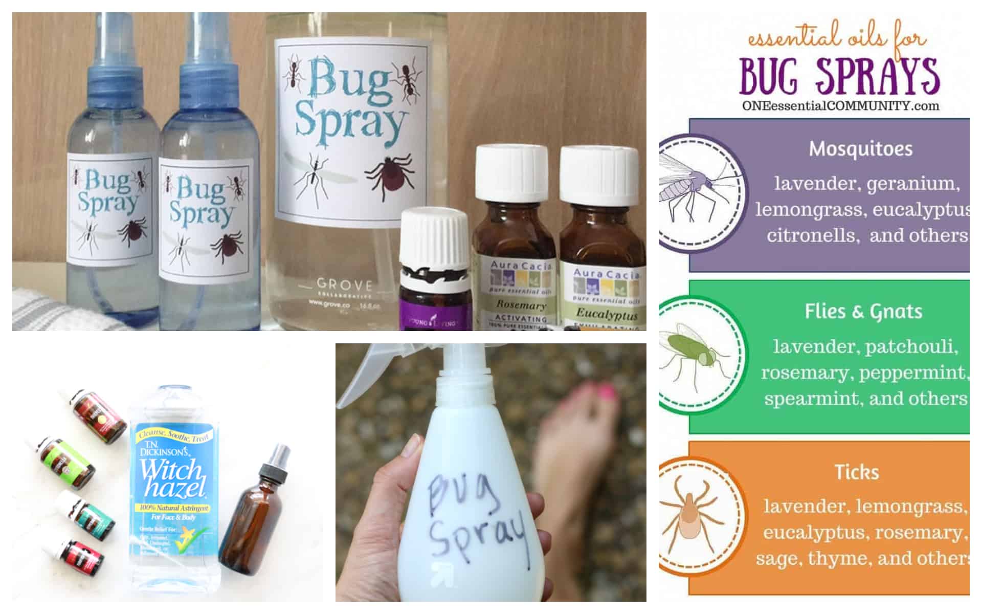 Homemade DIY Bug Sprays That Will Save You This Summer - ALL FOR ...