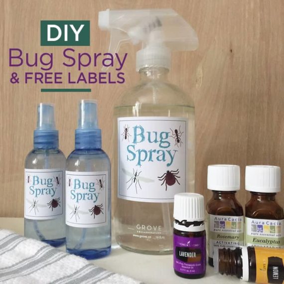 Homemade DIY Bug Sprays That Will Save You This Summer - ALL FOR ...