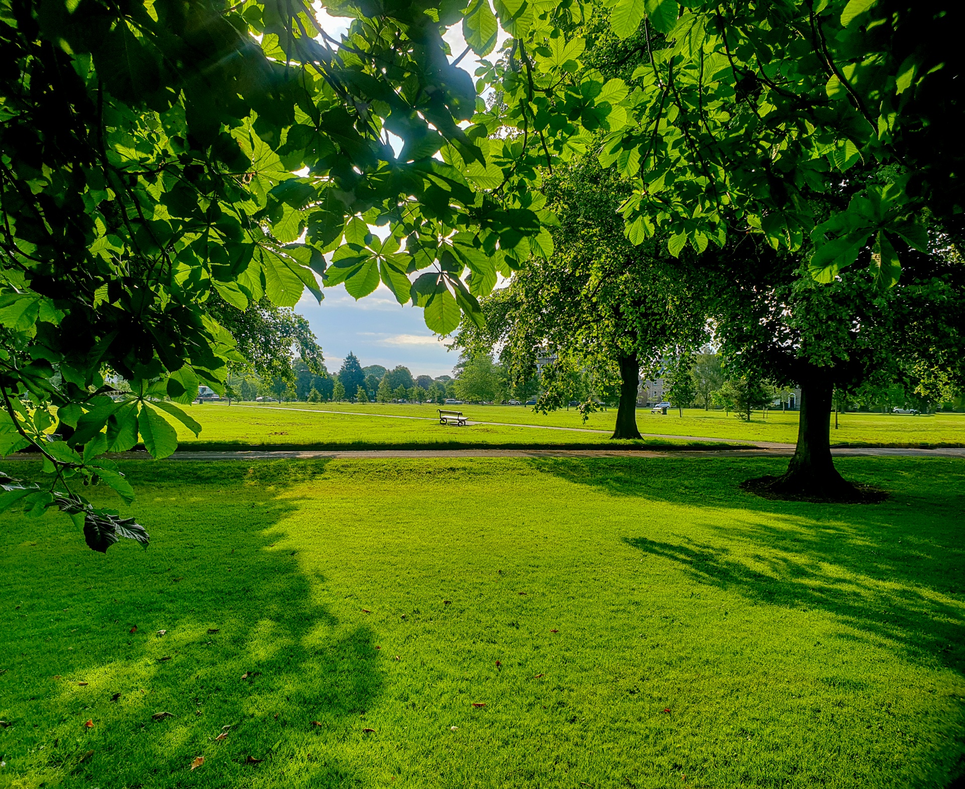How Does a Healthy Landscape Benefit You and Your Home? - ALL FOR ...
